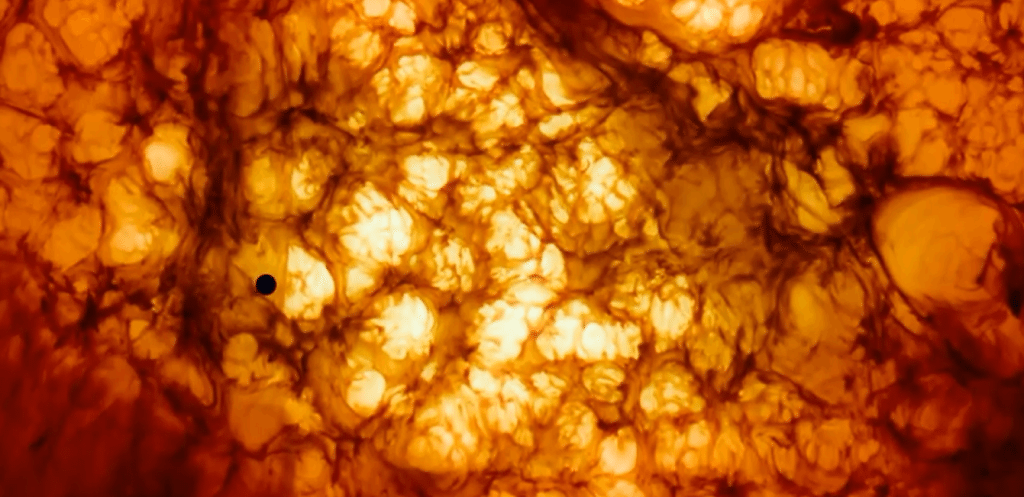 10 Most Colorful Movies of All Time