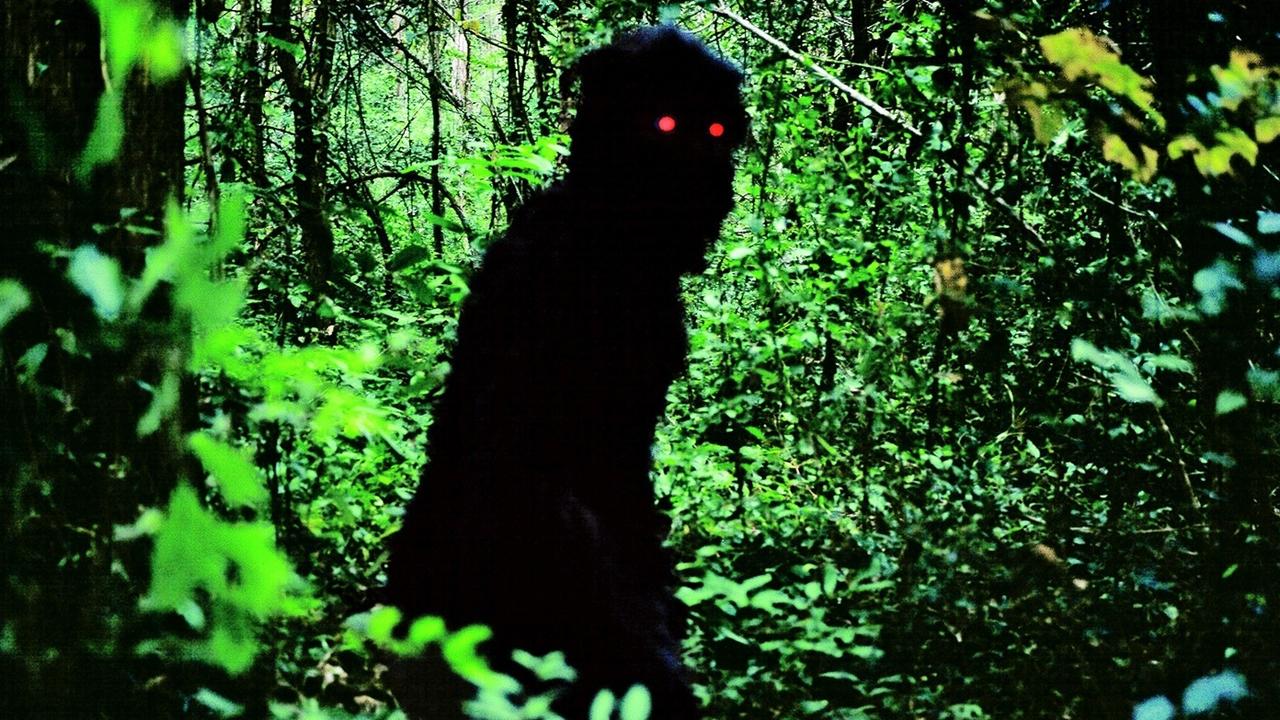 10 Best Slow Cinema Movies of All Time