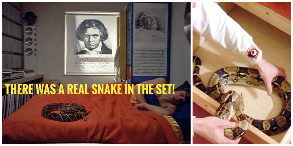 12 Shocking Facts About Famous Movie Scenes - The Cinemaholic