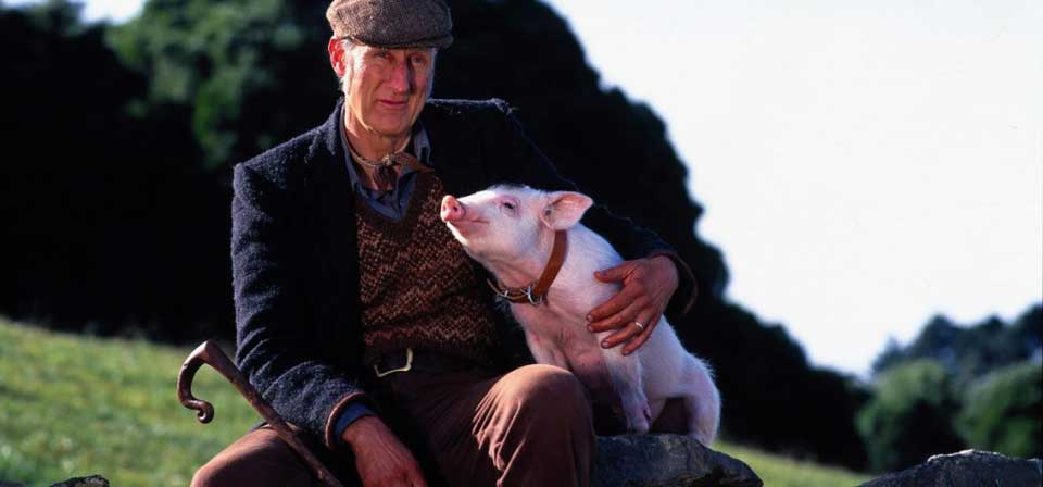 12 Best Animal Movies of All Time