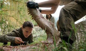 Annihilation Movie Plot Ending & Meaning, Explained - The Cinemaholic