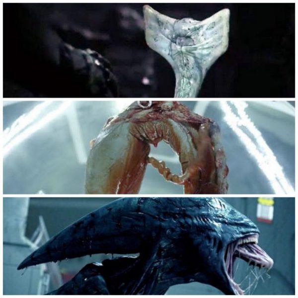 Prometheus Movie Plot Ending, Explained - The Cinemaholic