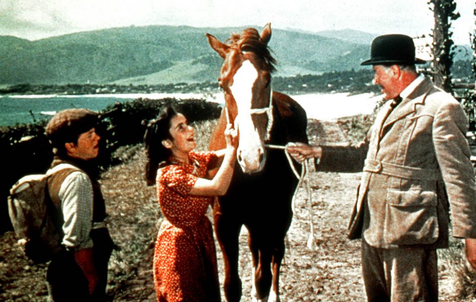 Horse Racing Movies | 8 Best Horse Movies of All Time - The Cinemaholic
