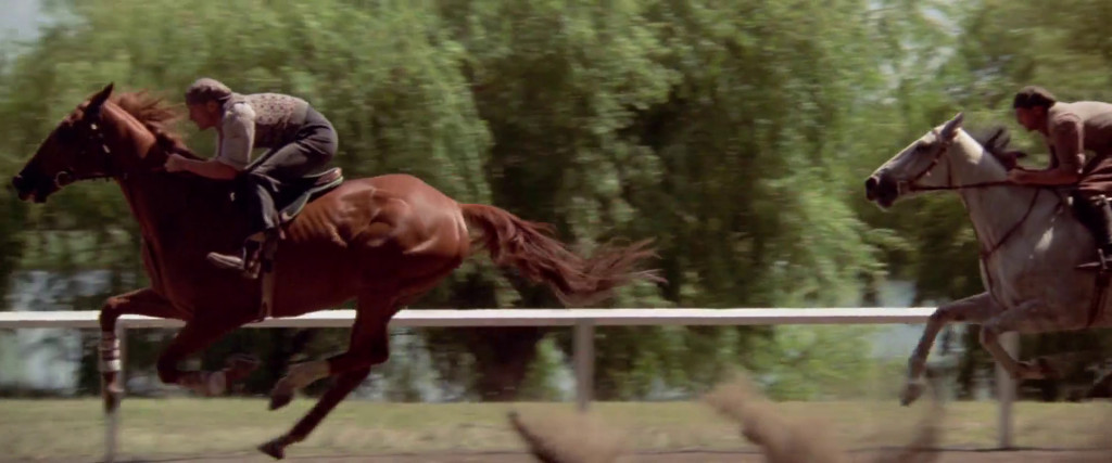Horse Racing Movies | 8 Best Horse Movies of All Time - The Cinemaholic