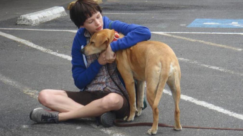 Dog Movies | 12 Best Films About Dogs Ever - The Cinemaholic
