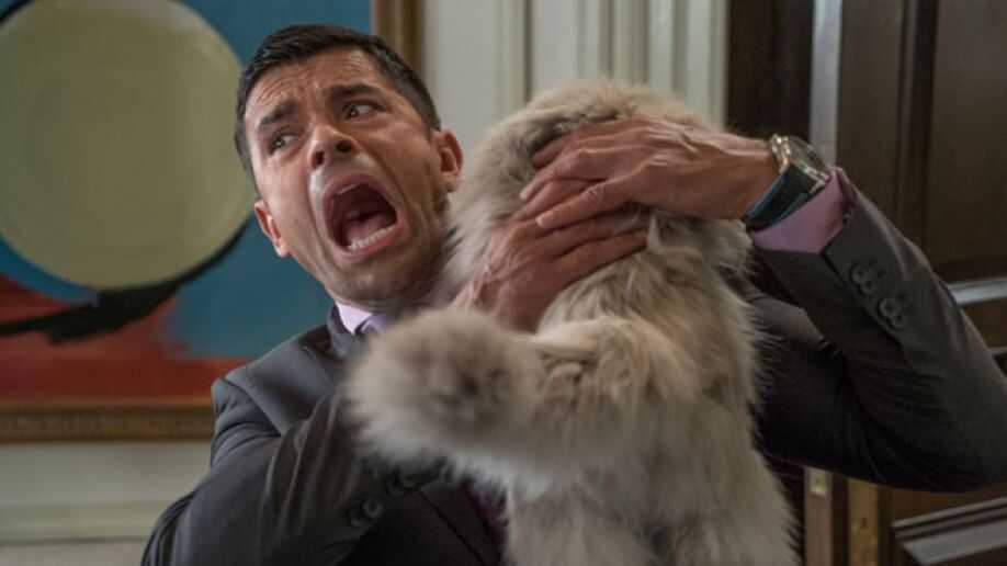 Spanish Actors | 13 Famous Spanish Male Actors Working Today