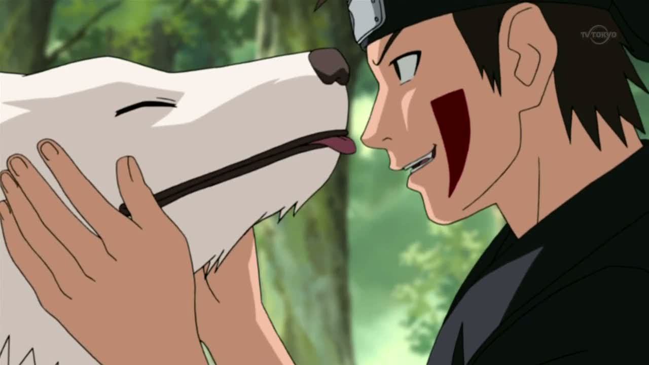 14 Best Anime Animals of All Time - Cinemaholic