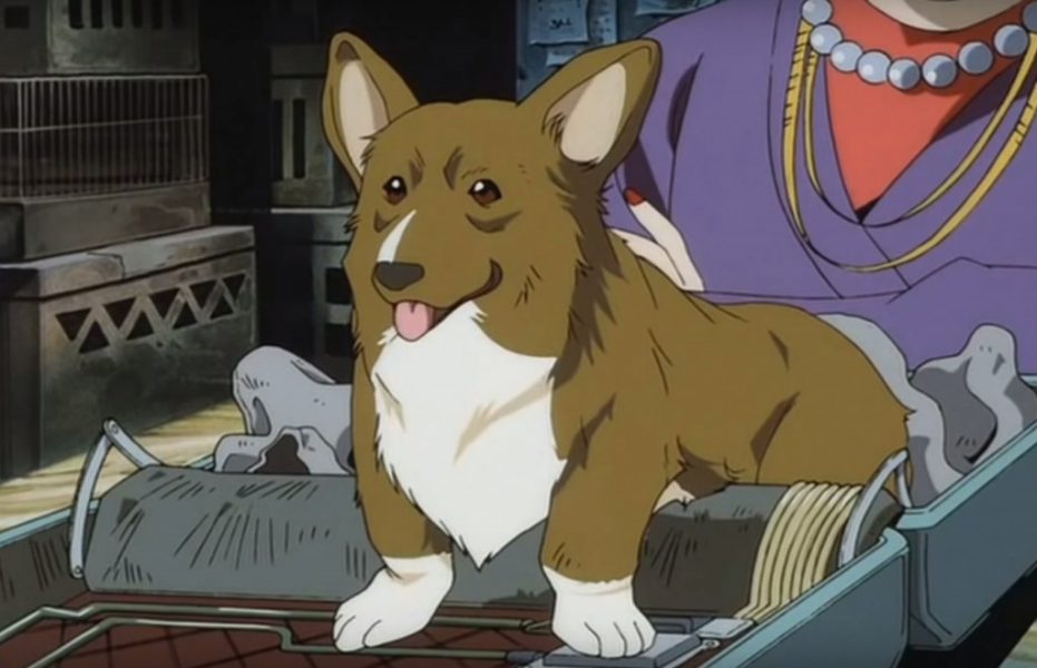 14 Best Anime Animals of All Time - Cinemaholic