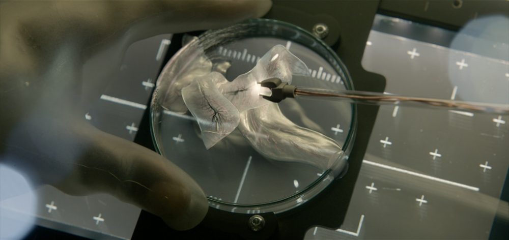 Life Ending, Explained: Does Everyone Die? Who Lives in the End?