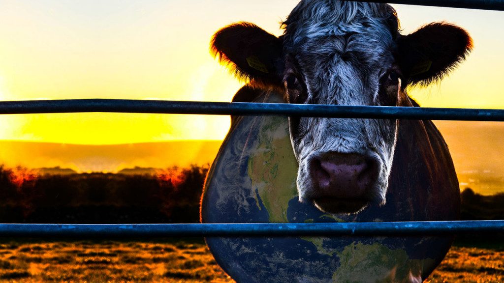 7 Best Vegetarian Documentaries on Netflix Right Now