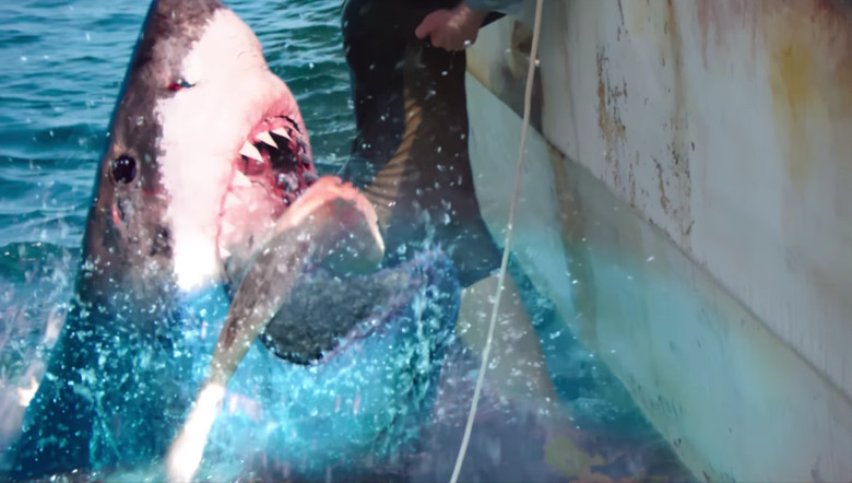 47 Meters Down Ending, True Story, Spoilers: Explained - Cinemaholic