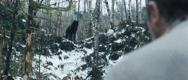 The Grey Movie Plot Ending, Post Credit Scene: Explained