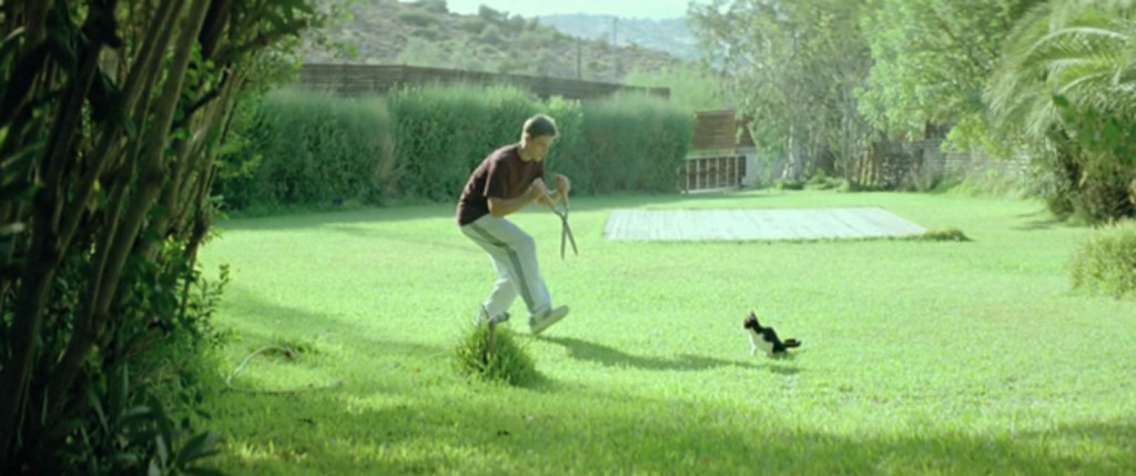 Dogtooth Ending, Meaning, Movie Plot: Explained - Cinemaolic