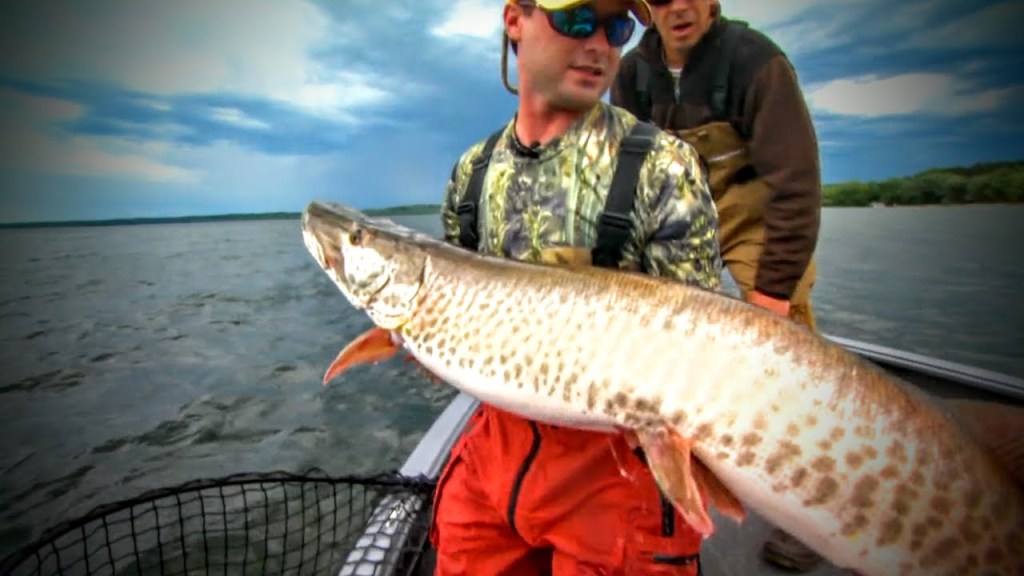 6 Best Fishing Shows on Netflix Right Now