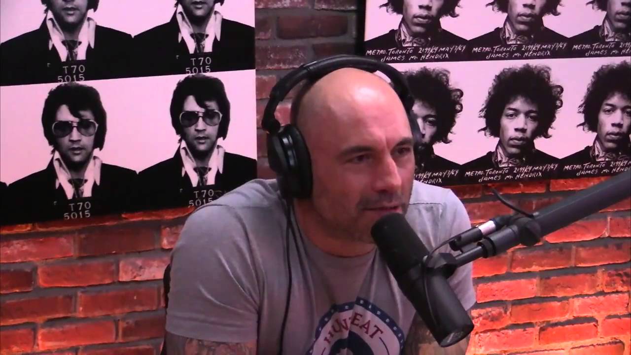 10 Best Joe Rogan Podcasts of 2019