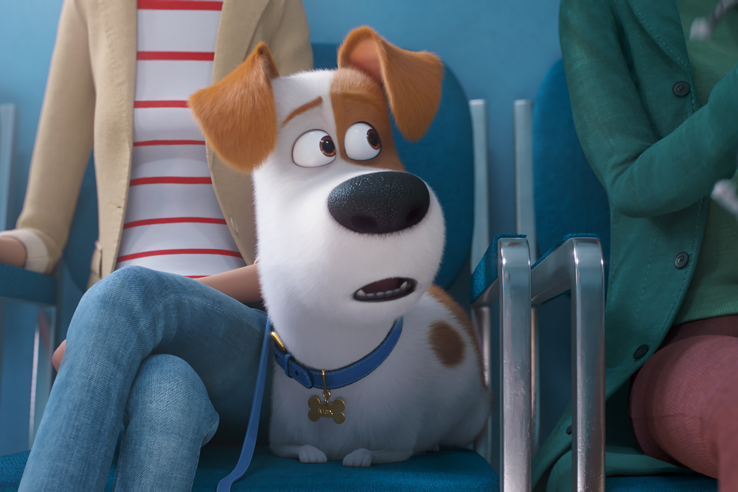 The Secret Life of Pets 3: Release Date, Cast, Theories, Rumors, News