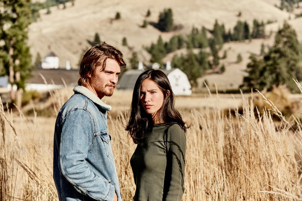 7 Shows Like Yellowstone You Must See
