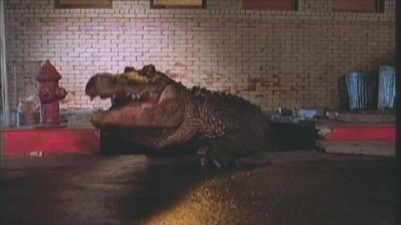 Best Crocodile Movies | 13 Top Alligator Movies Ever - Cinemaholic