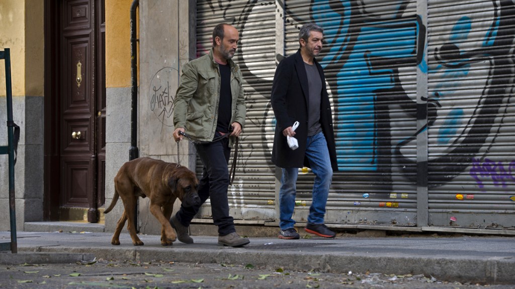 17 Best Spanish Movies of the 2010s