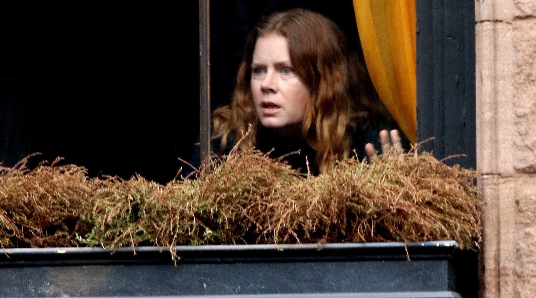 The Woman in the Window Movie: Release Date, Cast, Plot, News, Trailer 2020