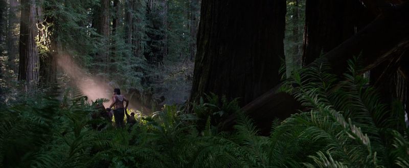 Where Was Bird Box Filmed? Netflix Filming Locations