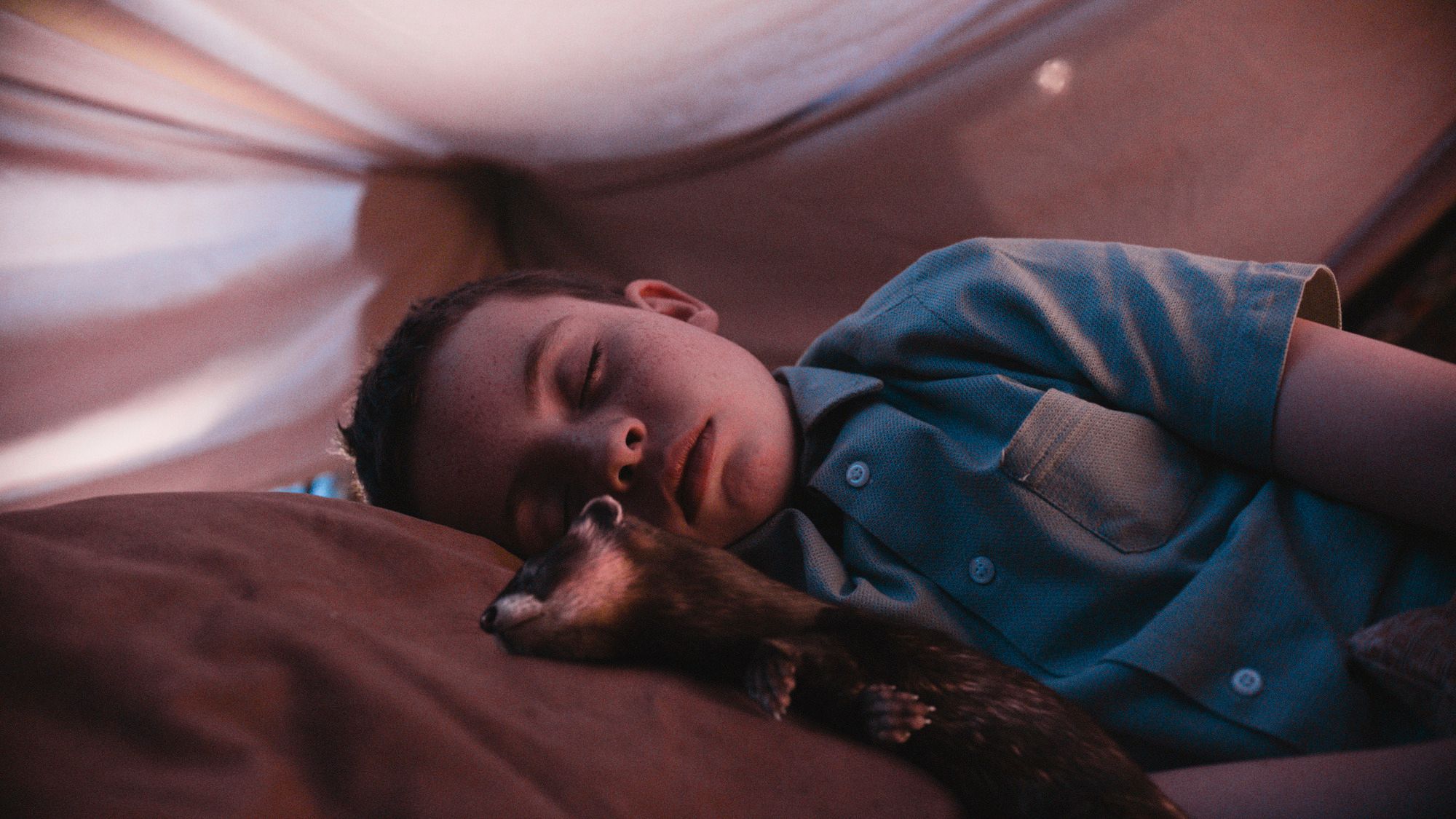 Is Roger Dead in 'His Dark Materials'? Or is He Still Alive?