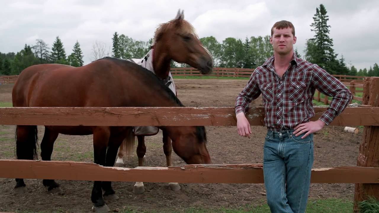 Where is Letterkenny Filmed? Hulu Filming Locations