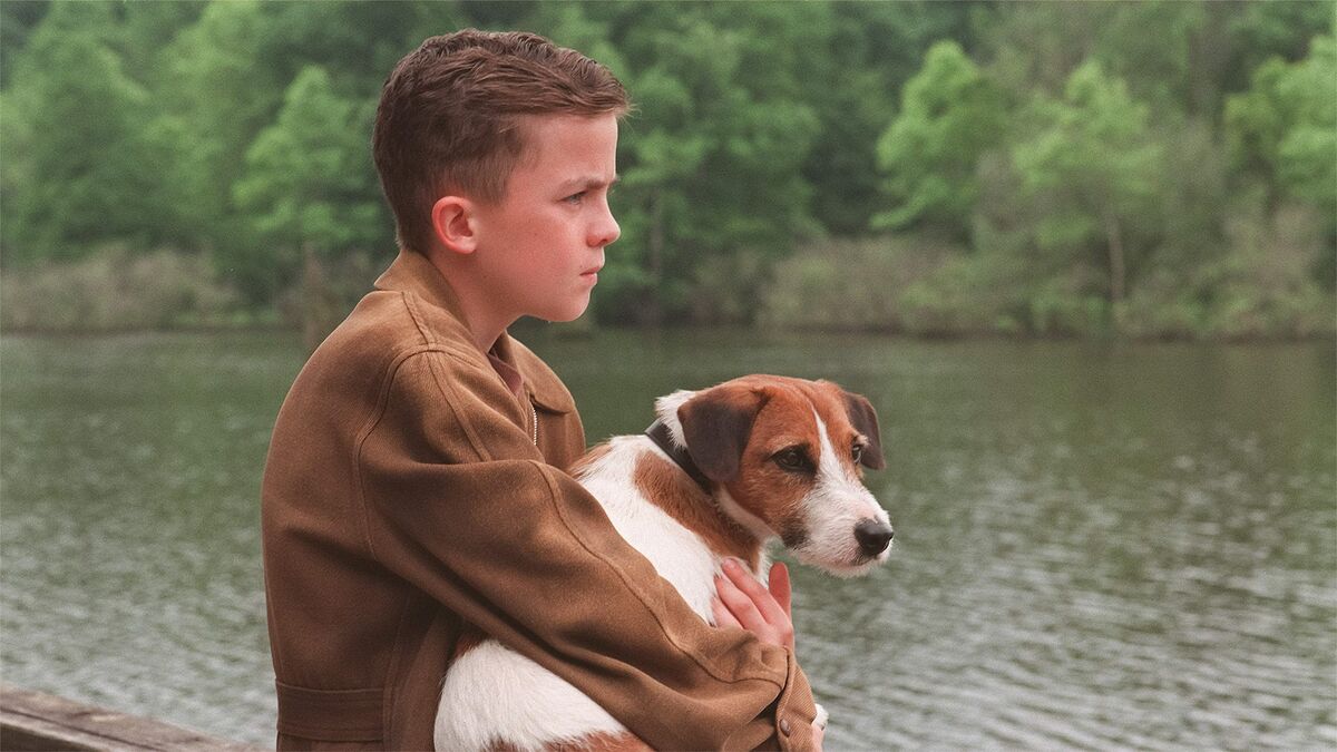 11 Best Dog Movies on Netflix Right Now