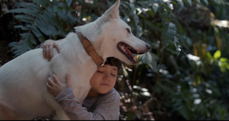 11 Best Dog Movies on Netflix Right Now