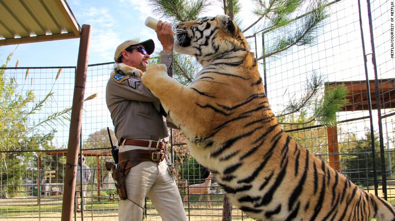 Best Joe Exotic Memes | Top 10 Funniest Tiger King Memes