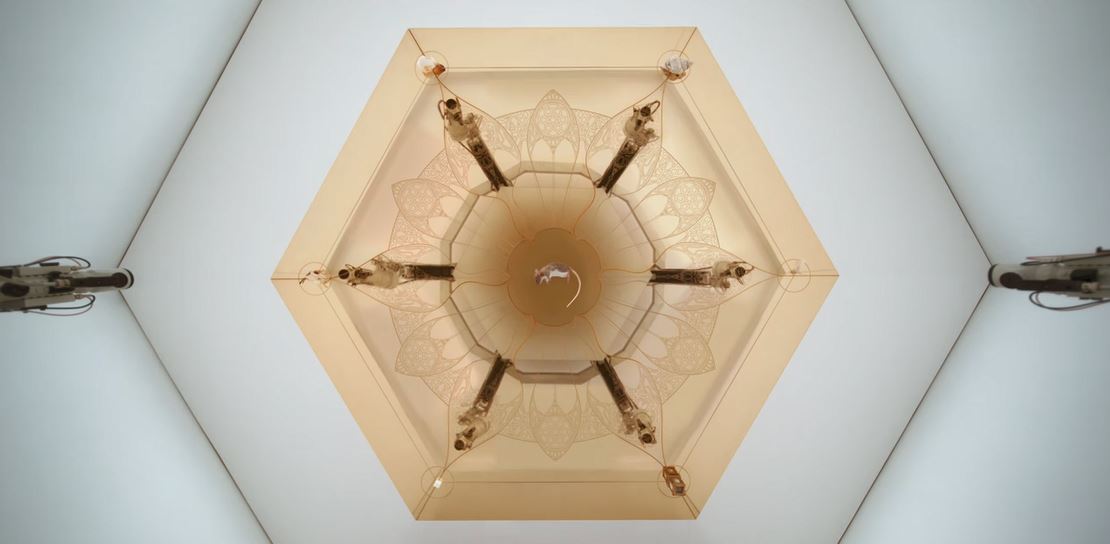 Devs Episode 5 Recap/ Review/ Ending Explained