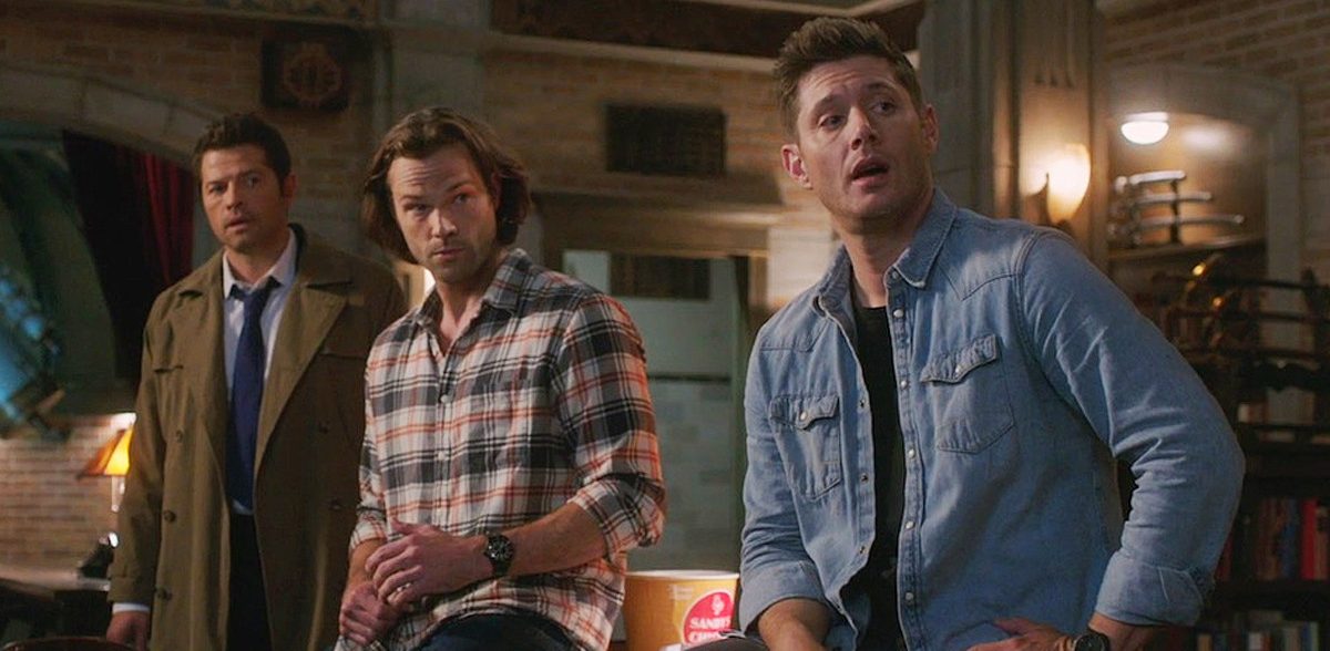 11 Best Werewolf Shows on Netflix Right Now