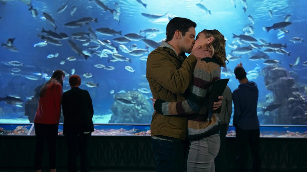 Where is Timeless Love Filmed? Hallmark Cast Details