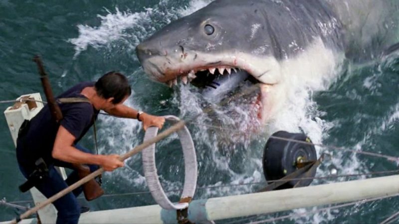 Where Was Jaws Filmed? Spielberg's 1975 Movie Filming Locations