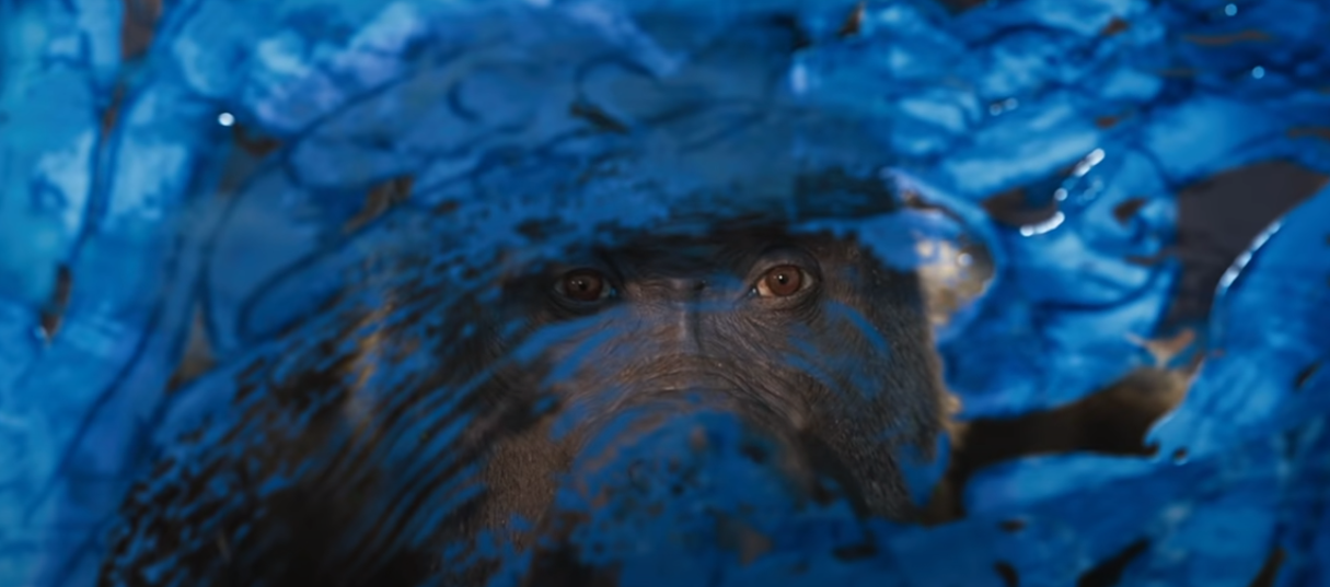 The One And Only Ivan: Is the Movie Rooted in Reality?