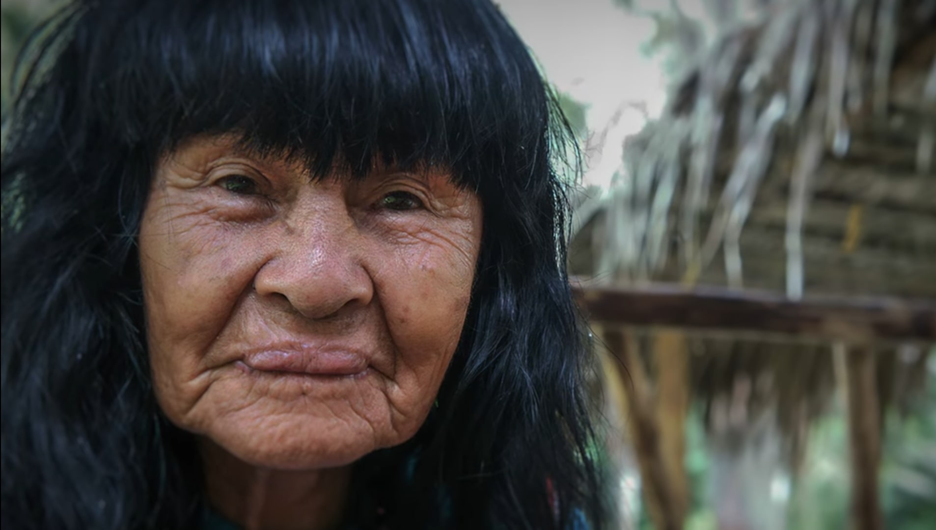 Olivia Arevalo's Murder: How Did She Die? Who Killed Olivia Arevalo?