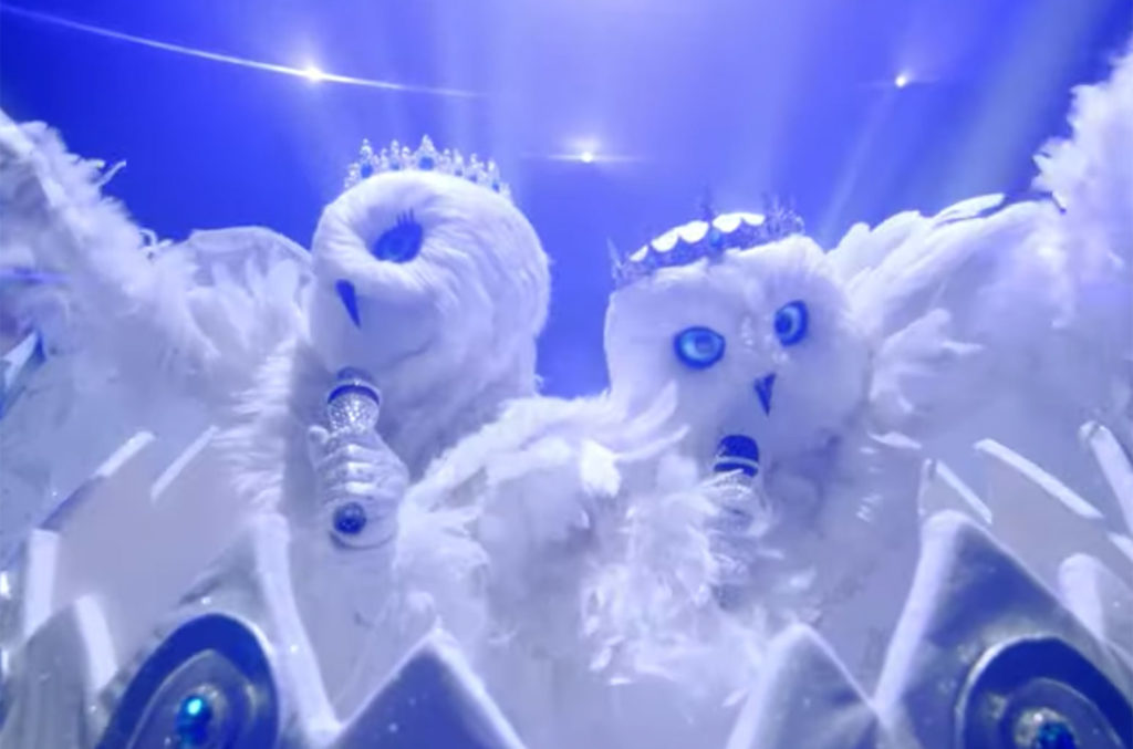 Who Are Snow Owls on The Masked Singer? Clues, Guesses, Spoilers