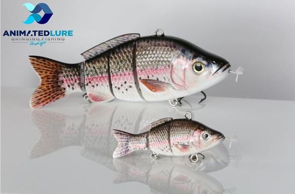 Animated Lure Shark Tank Update: Where Are They Now?