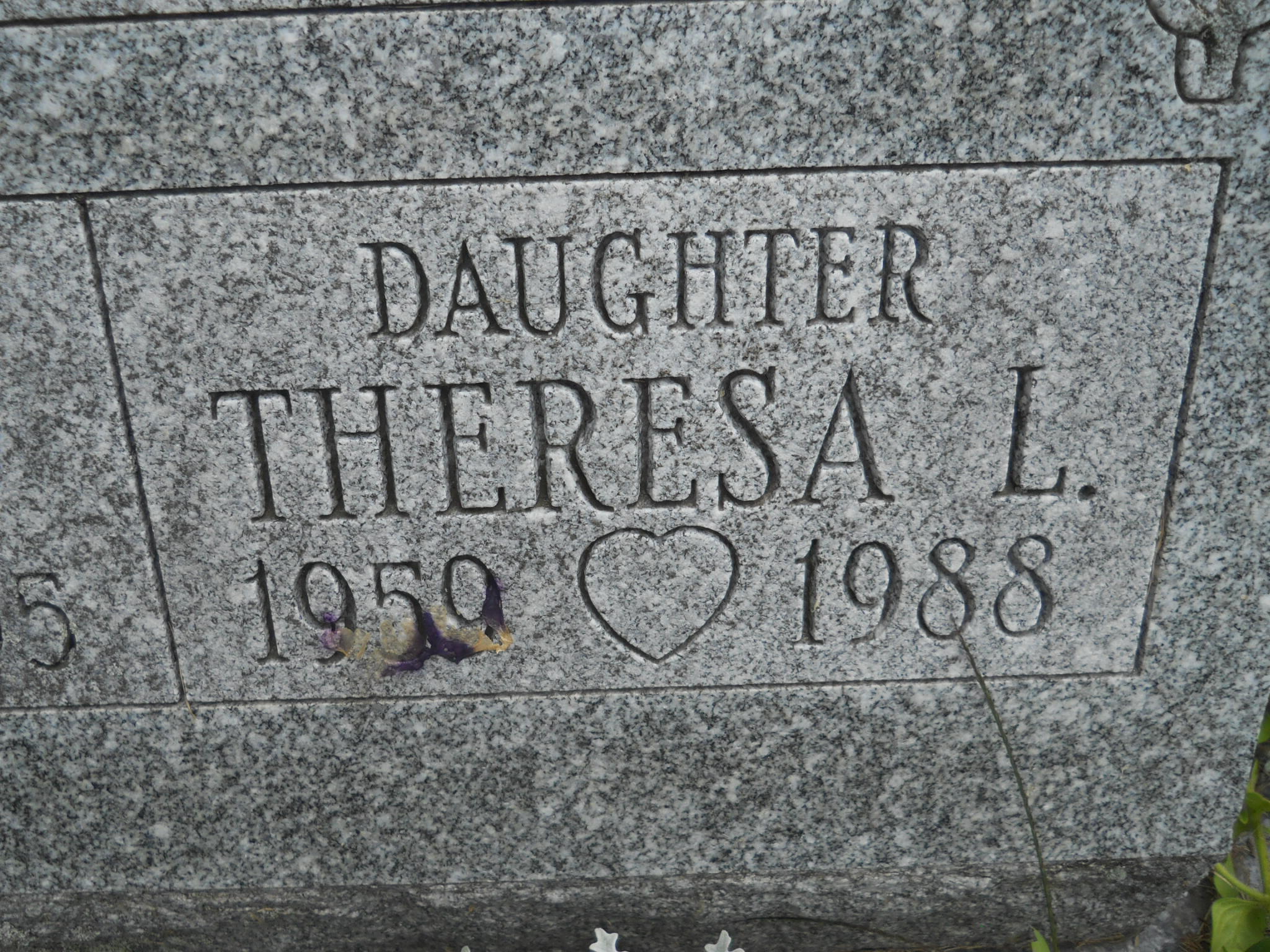 Theresa Jones’ Murder: How Did She Die? Who Killed Theresa Jones?