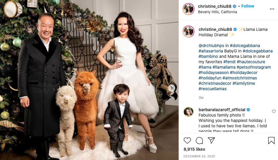Bling Empire's Christine and Gabriel Chiu: Marriage, Family and Son