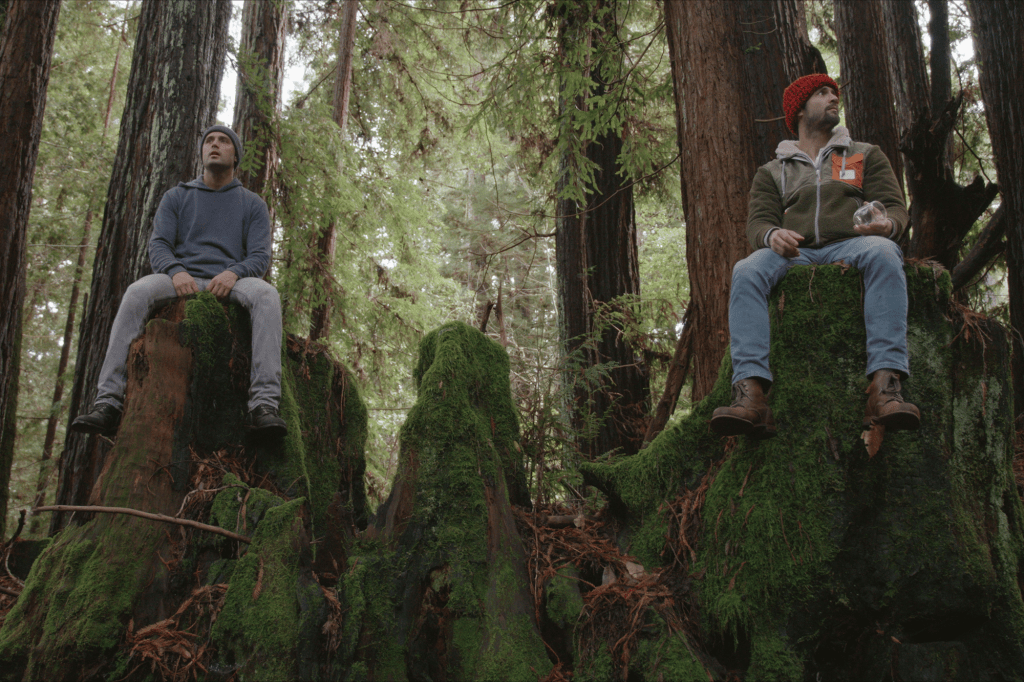 Everyone is Doing Great: Is the Hulu Show Based on Real People?