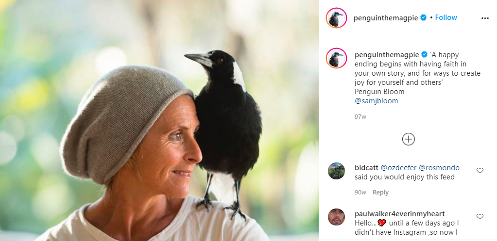 Cameron and Sam Bloom Now: Where Are Penguin Bloom's Couple, Kids and ...