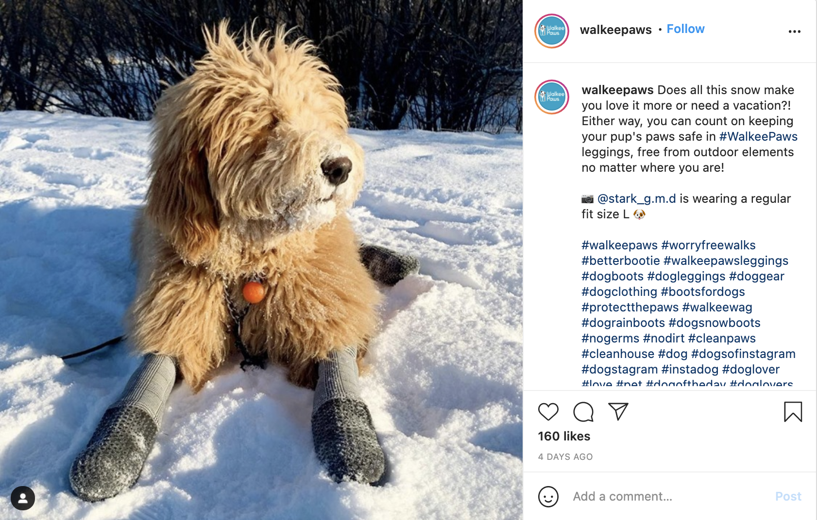 Walkee Paws Shark Tank Update: Where is Dog Legging and Socks Company Now?