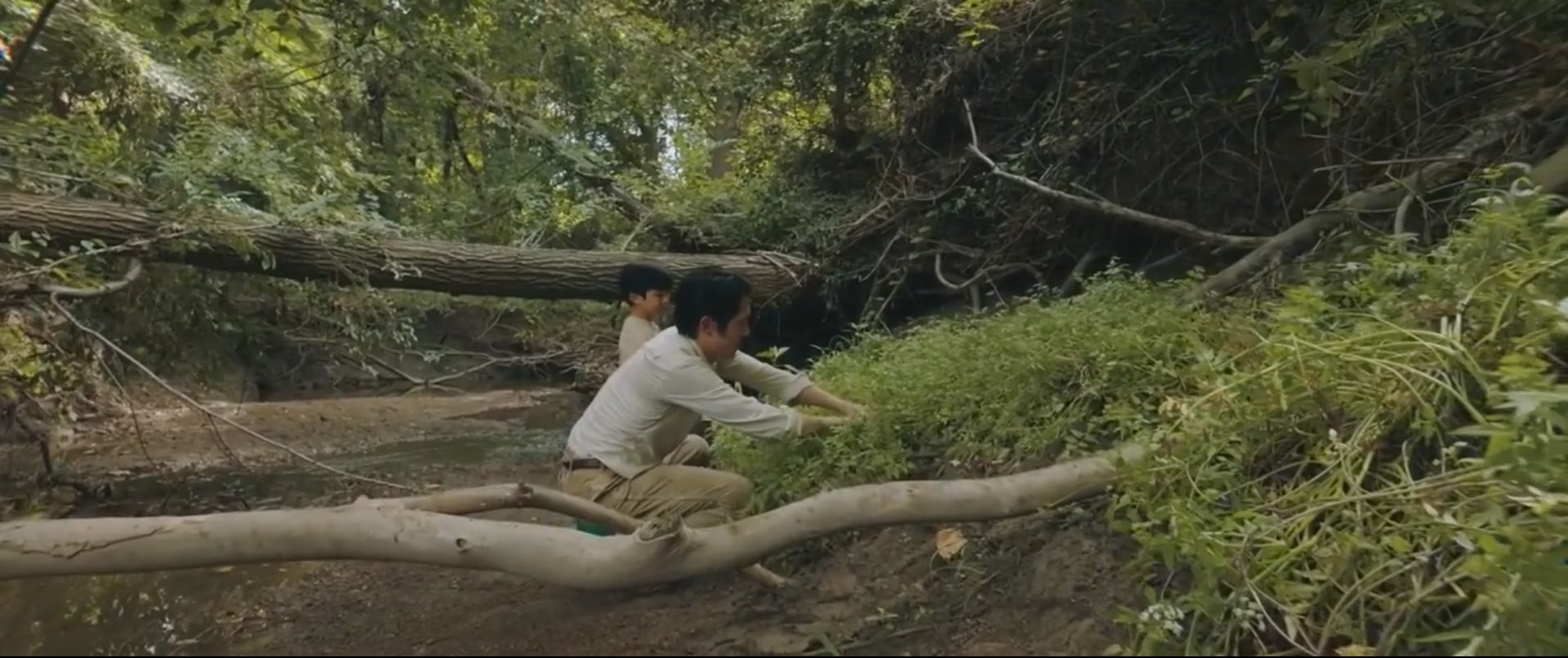 Minari's Ending, Explained | What Happens to the Yi Family?