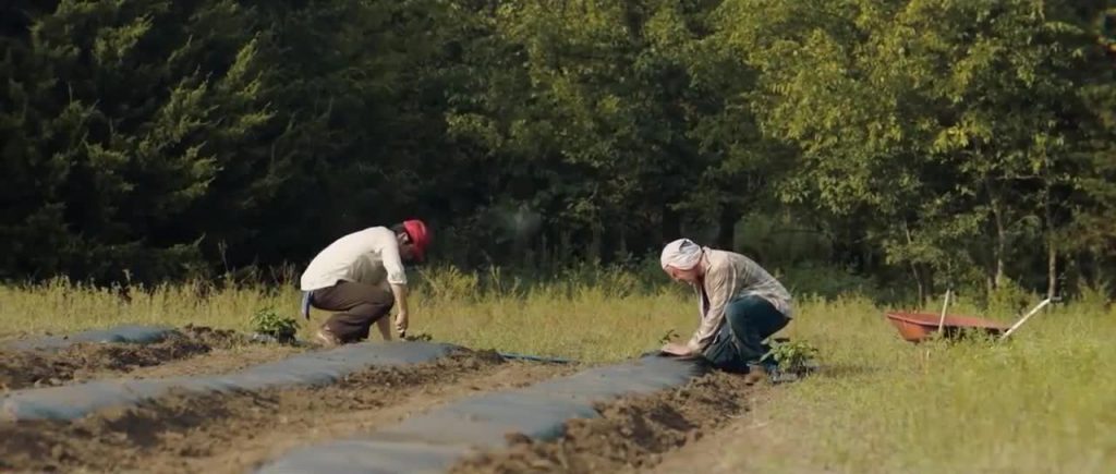 Minari's Ending, Explained | What Happens to the Yi Family?