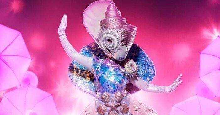 Who Are Porcupine, Raccoon, Russian Dolls, Seashell, Snail on Masked ...