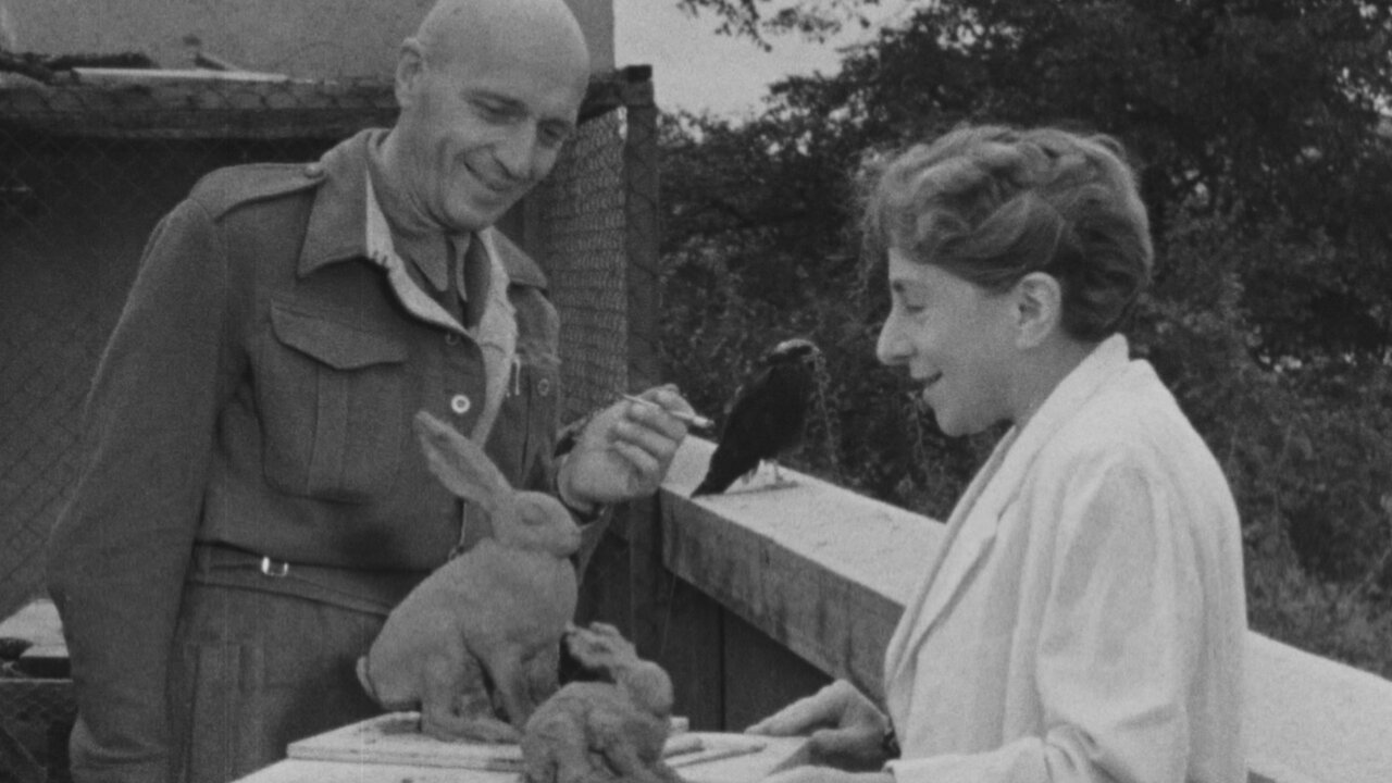 Is The Zookeeper’s Wife a True Story? Is the Movie Based on Real Lives ...