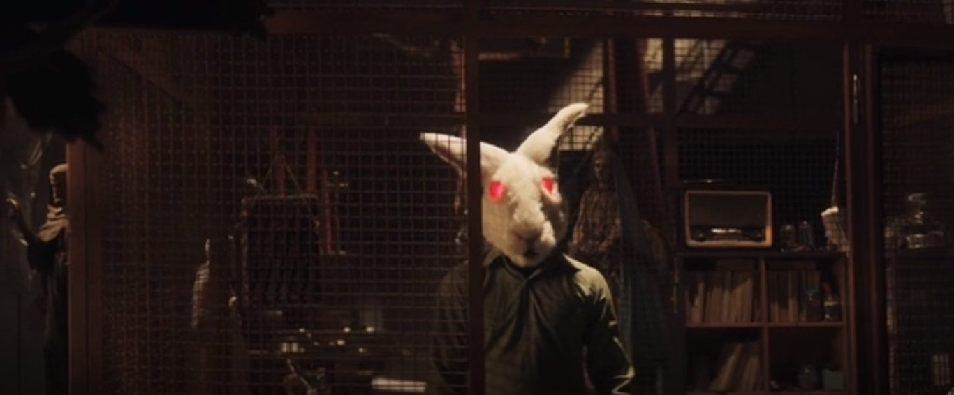 Into the Labyrinth Ending, Explained | Who Are Dr. Green and Bunny?