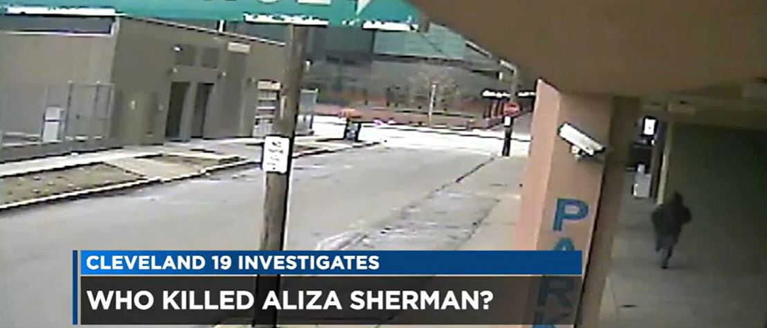 Aliza Sherman Murder: How Did She Die? Who Killed Aliza Sherman?