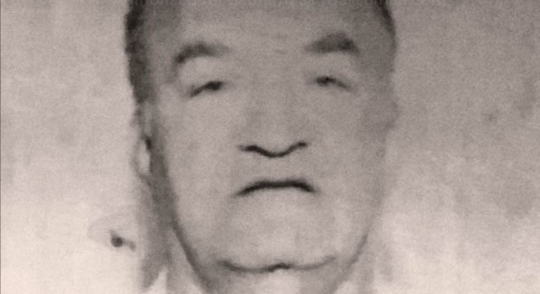 Who Was Carmello Merlino? How Did Carmello Merlino Die? Gardner Museum ...